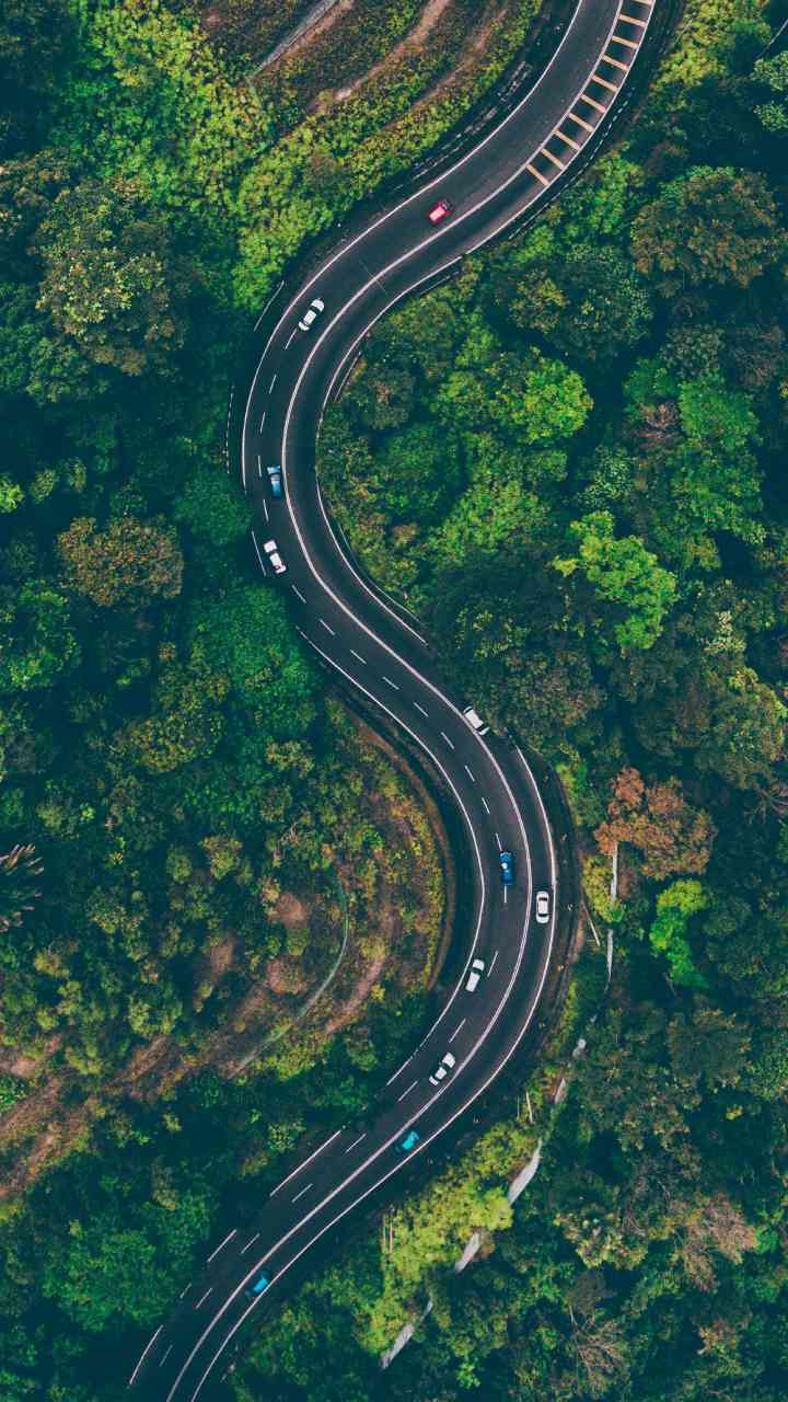 7 Exciting Road Trips That Will Give You The Perfect Getaway