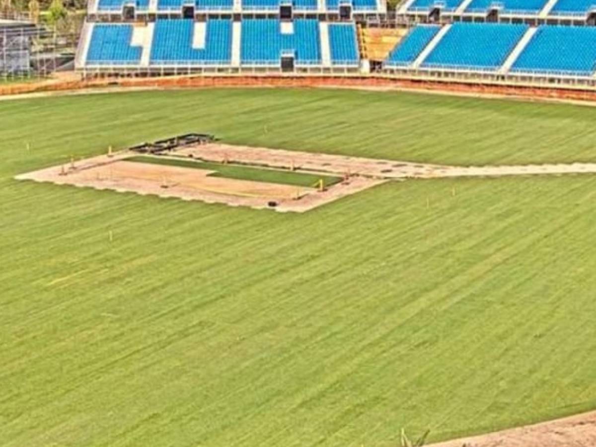 अमेरिका में ड्रॉप इन पिचों पर होगा T20 वर्ल्ड कप, क्या होती हैं ये पिचें...