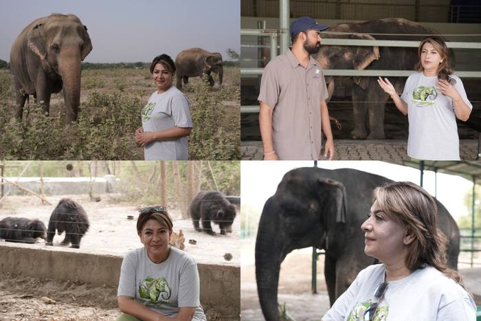 Divya Seth Shah Sides With Elephants And Bears, Supports Conservation ...