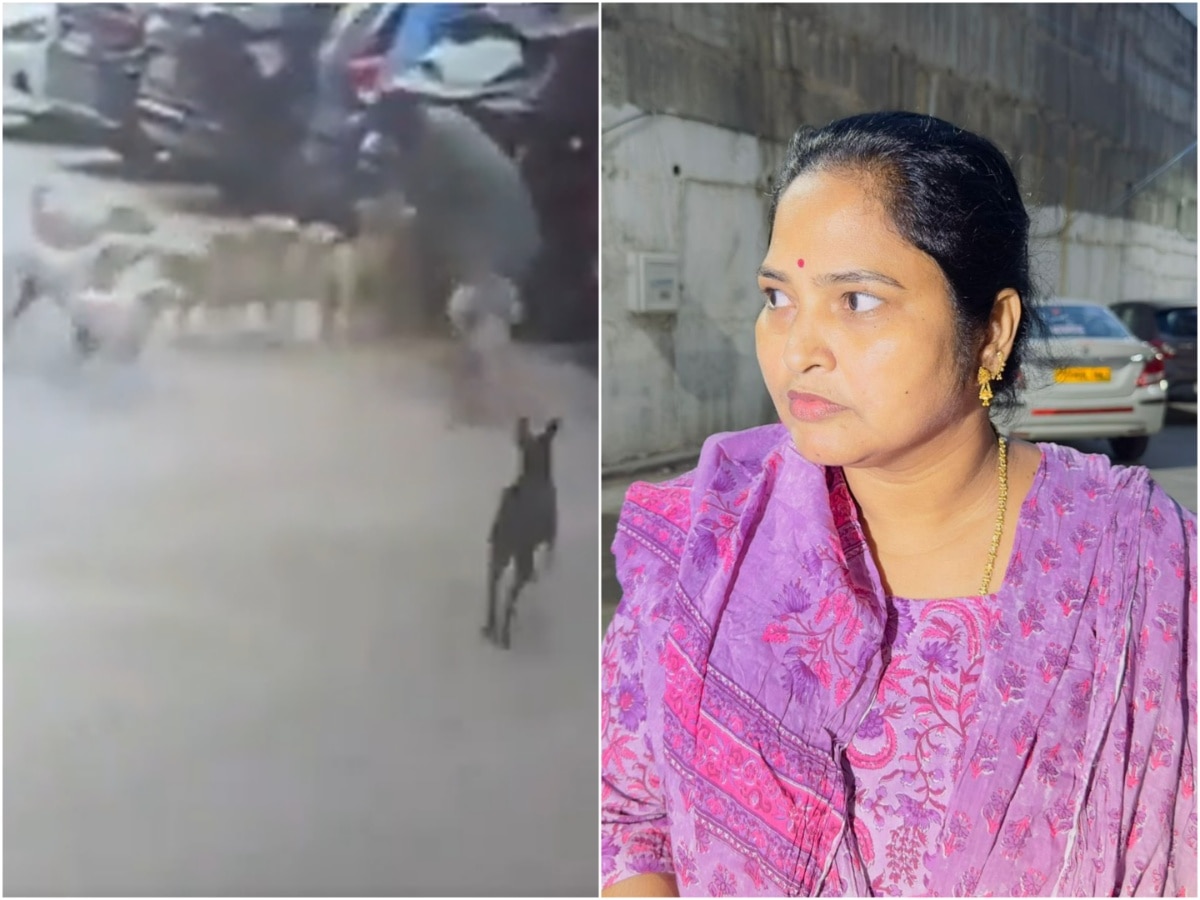 WATCH: Narrow Escape For Hyderabad Woman After Stray Dogs Besiege Her ...