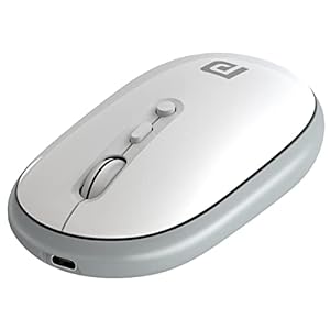 Portronics Optical Mouse - Types, Kinds and Benefits