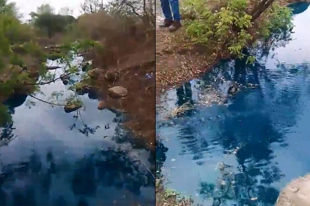 Blue Water Starts Flowing In Dharashiv District Of Maharashtra: WATCH VIDEO