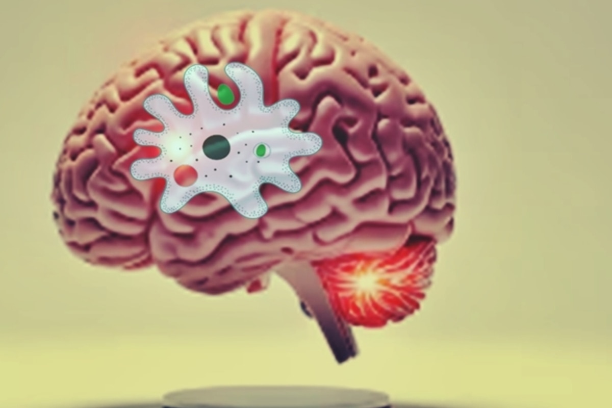 Brain-Eating Amoeba Kills 2 In Kerala, Details Inside