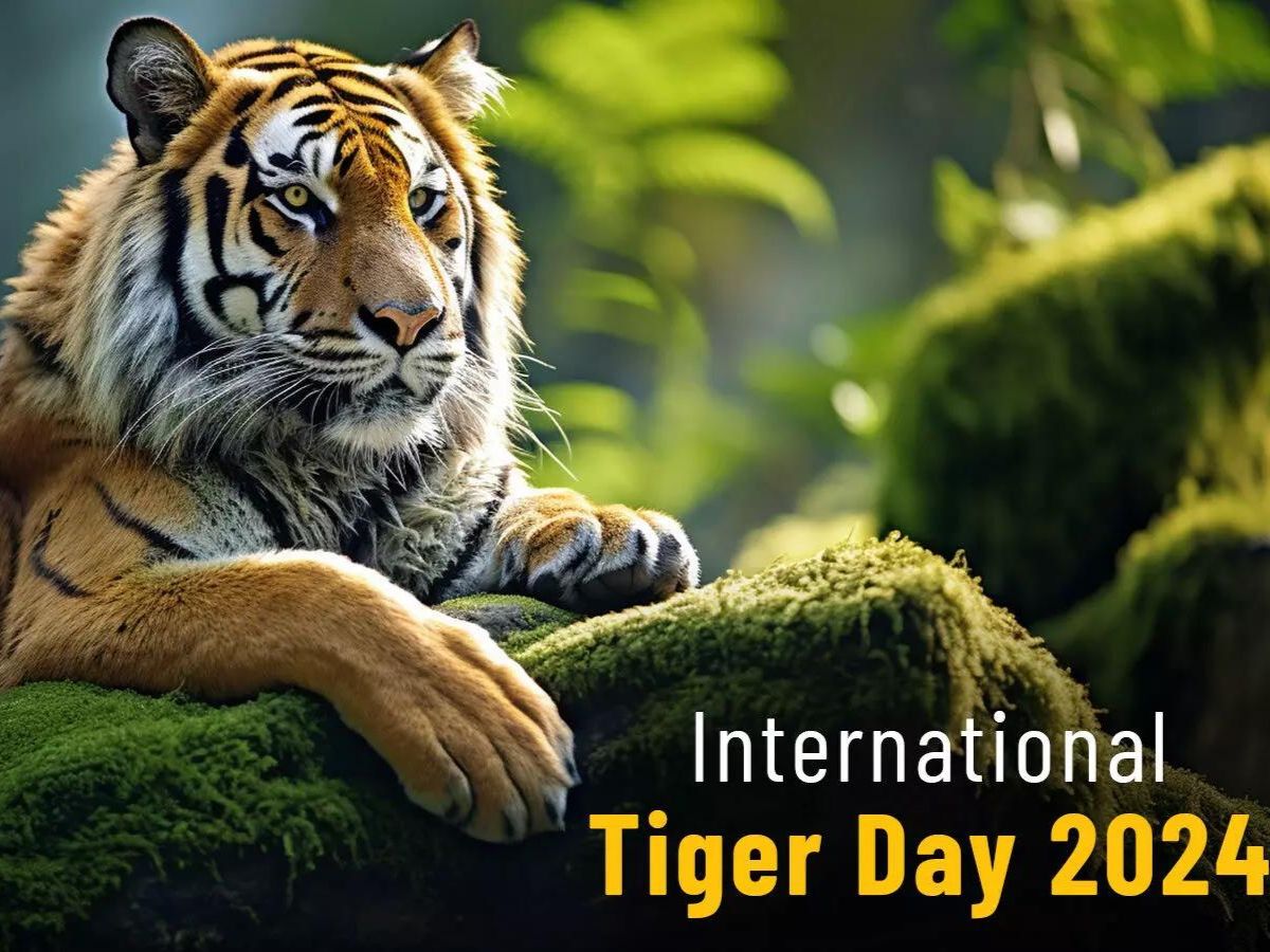 International Tiger Day 2024: अंतर्राष्ट्रीय बाघ दिवस के मौके पर करें ...
