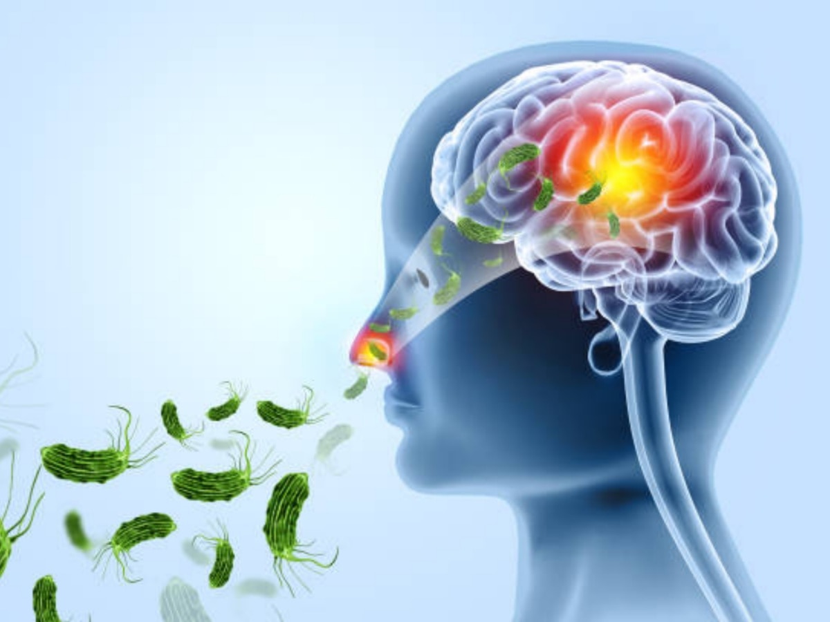 'Brain-Eating Amoeba': Kerala Boy Makes Rare Recovery From Amoebic ...