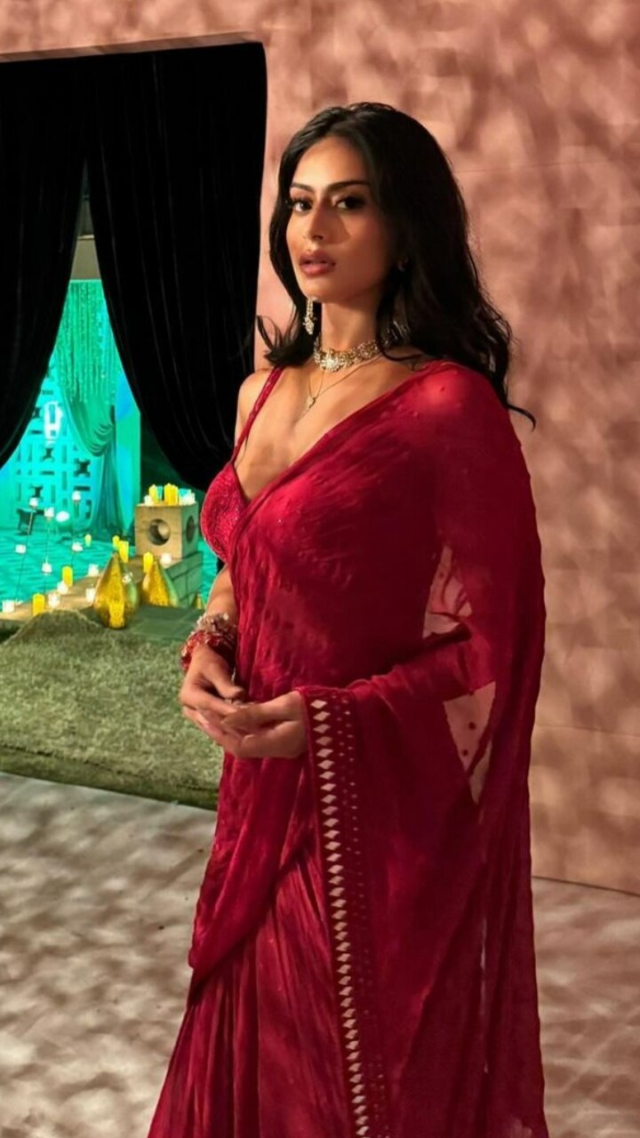 Nysa Devgan Turns on Her Desi Charm in Trendy Hand Embroidered Sari