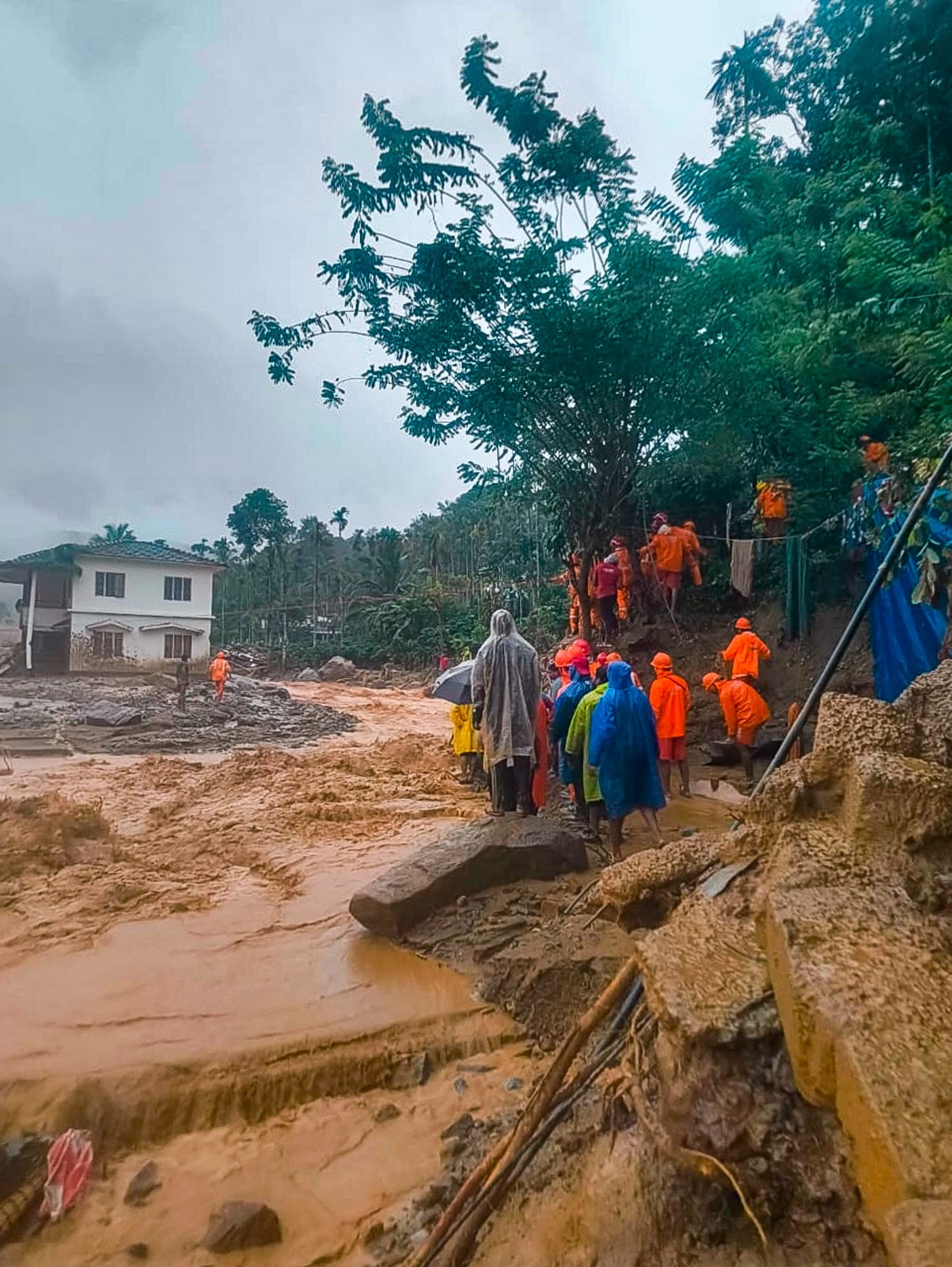 Kerala Landslides: What Caused the Devastation in Wayanad | Explained