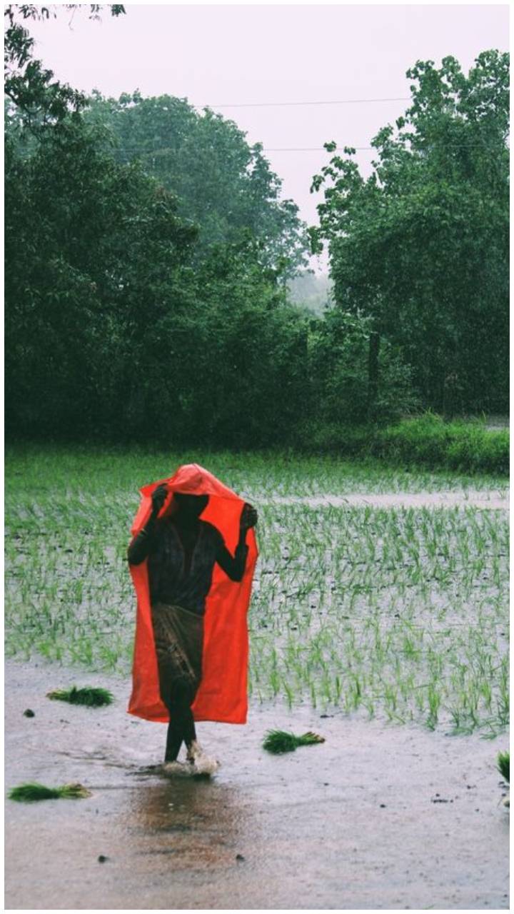 Bengaluru City Weather 14 July: IMD Issues RED ALERT For Rains; Check ...