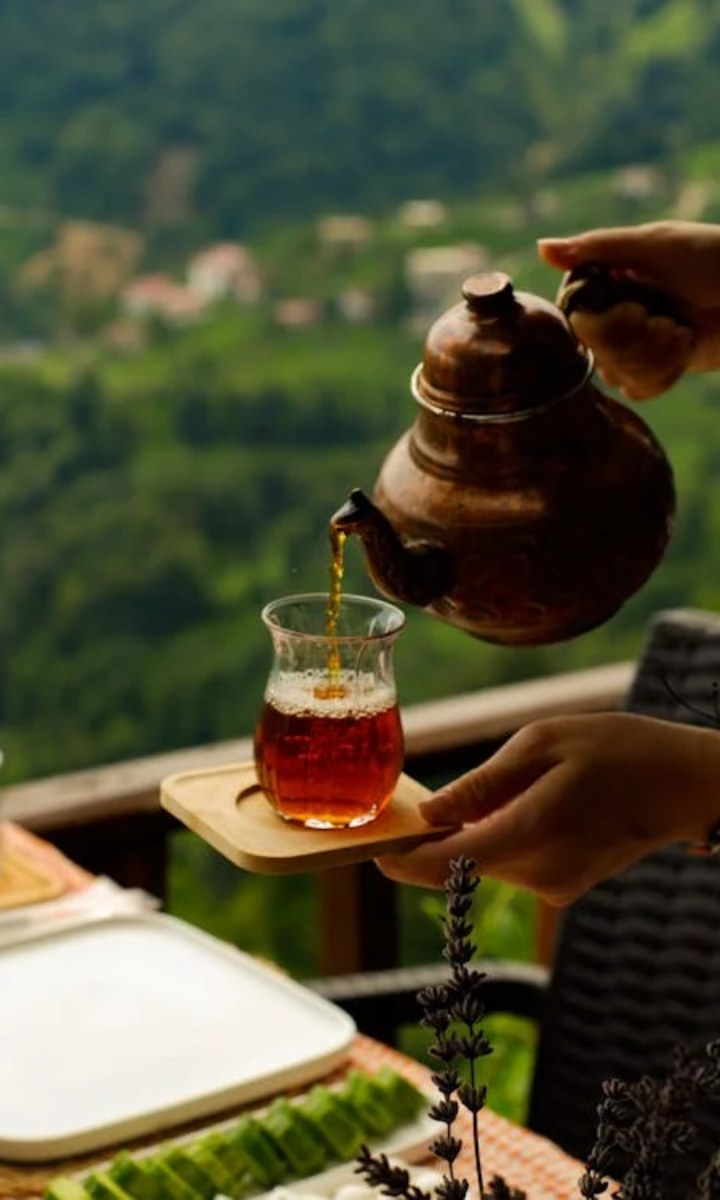 Visit India's 7 Most Stunning Tea Plantations Places