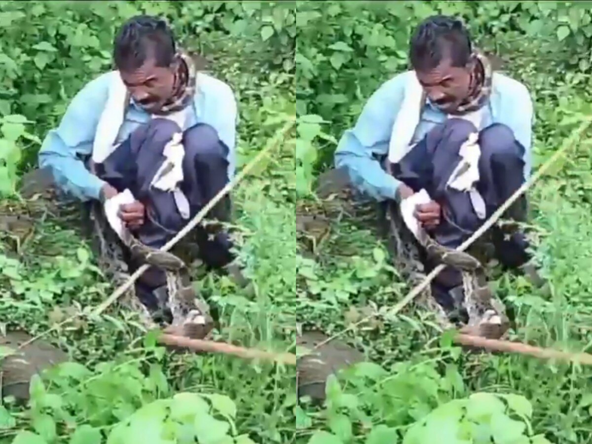Azgar Ka Video: शौच करने गए शख्स को अजगर ने दबोच लिया, फिर जो हुआ पूरा ...