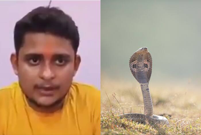 UP Man Gets Bitten By Snake Every Saturday For 7th Time In 40 Days, Team Formed To Probe Case