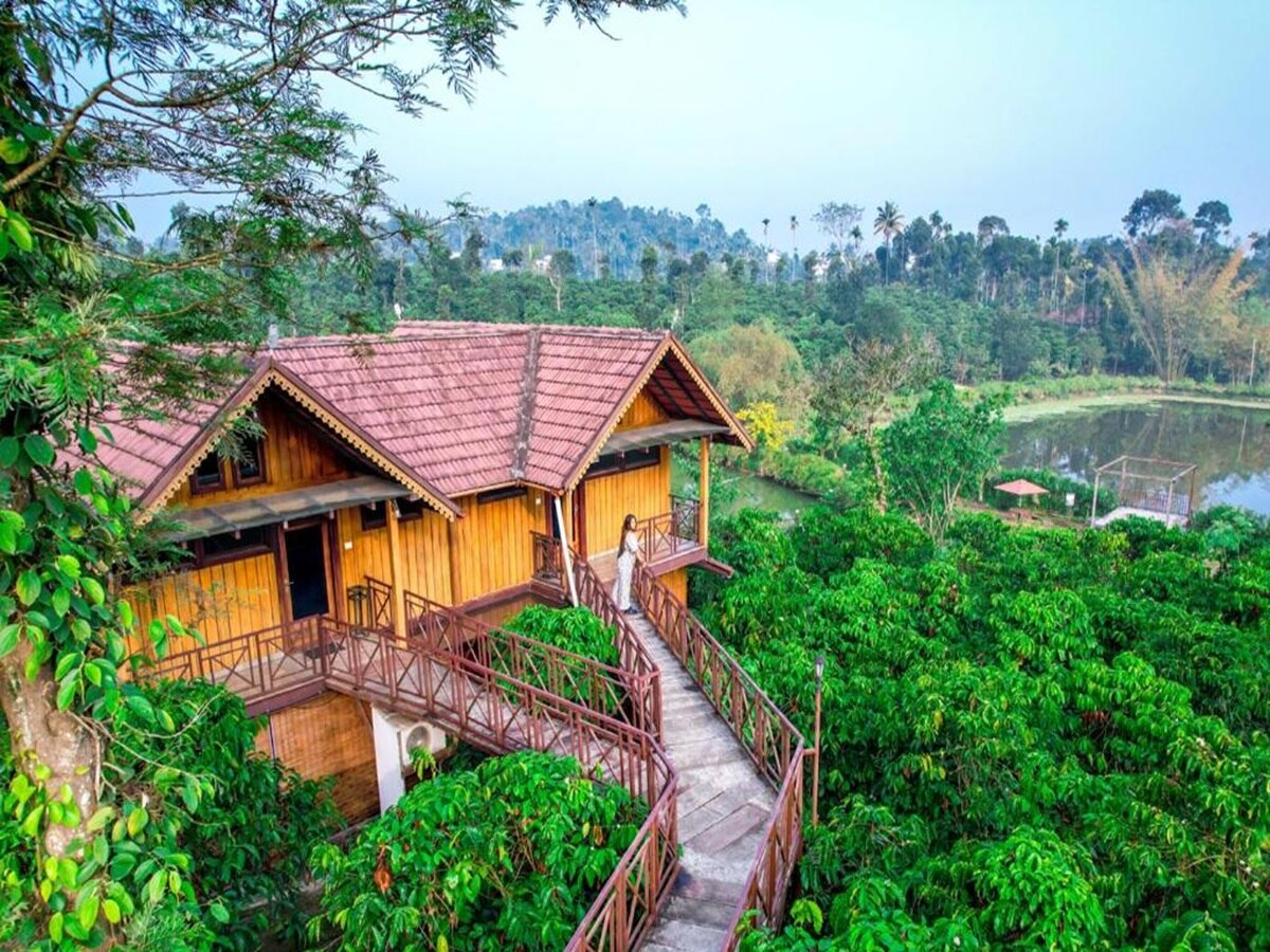 वायनाड जाने का बेस्ट टाइम? मसालों की खुशबू से महकने वाले शहर को ...