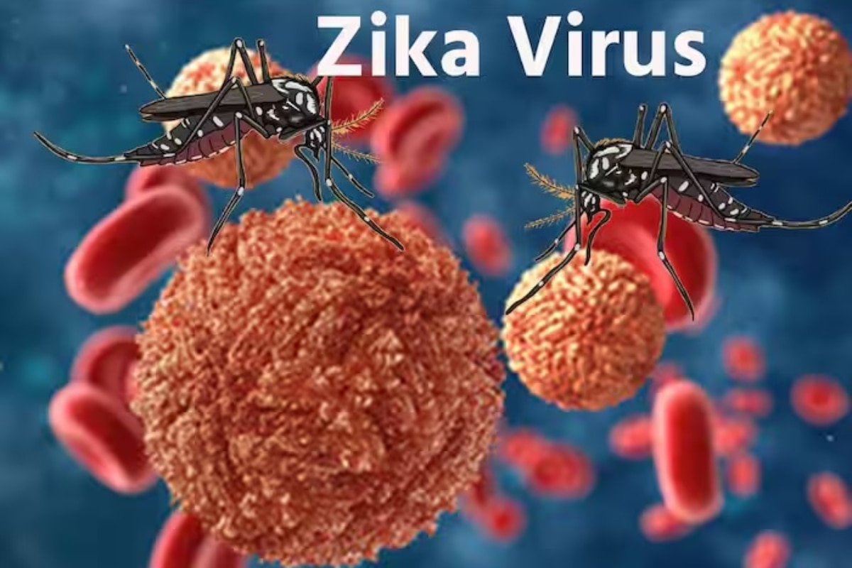 Four Deaths Due To Zika Virus Reported From Pune