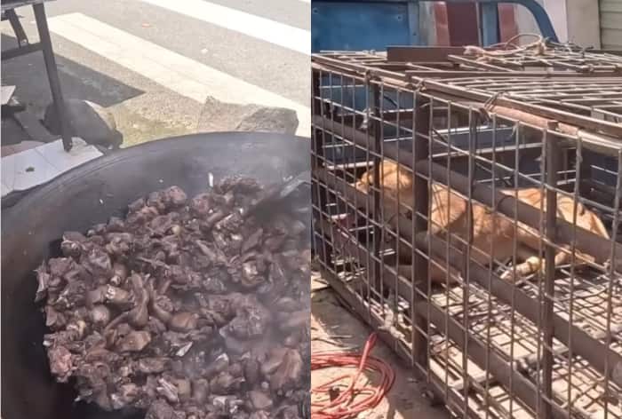 'Crazy How Different Food Culture Can Be': Internet In Shock After ...