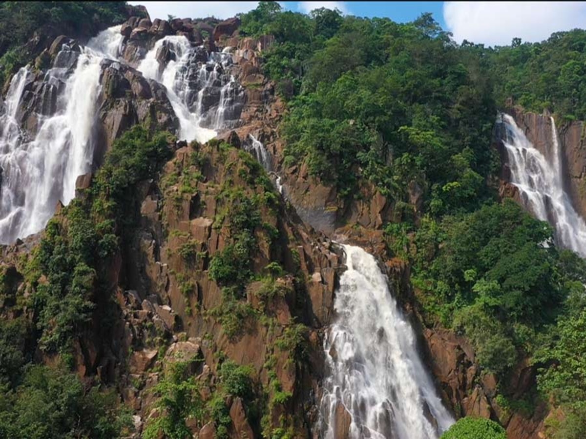 नेतरहाट हिल स्टेशन: इस जगह को कहते हैं 'क्विन ऑफ झारखंड'