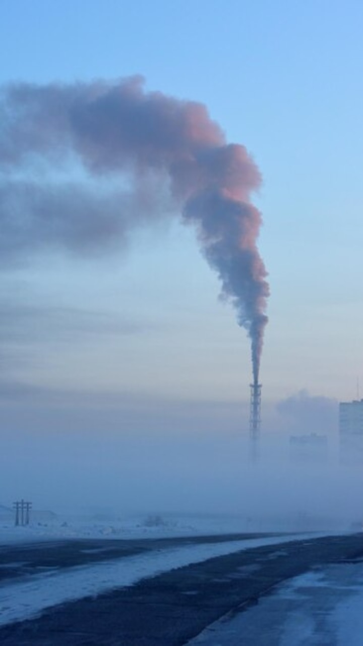 8 Ways How Pollution Affects Our Health