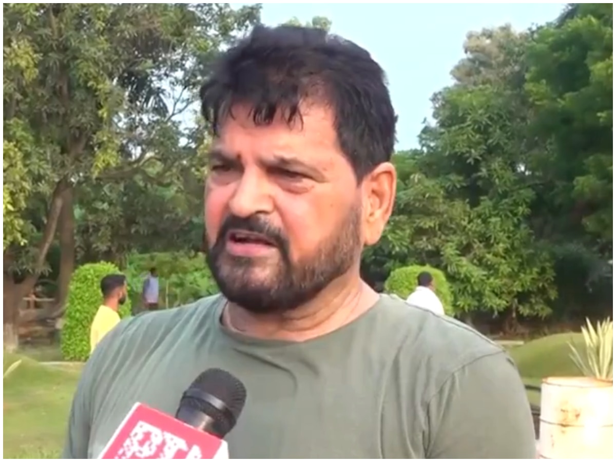 Brij Bhushan First Reaction To Vinesh Phogat, Bajrang Punia Joining Congress, Says Party ...