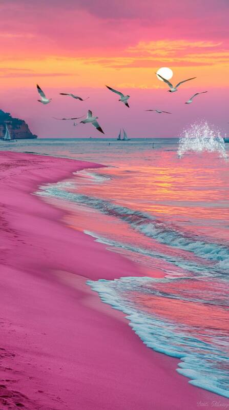Images Of Pink Beaches 8 Gorgeous, Must See Pink Sand Beaches One