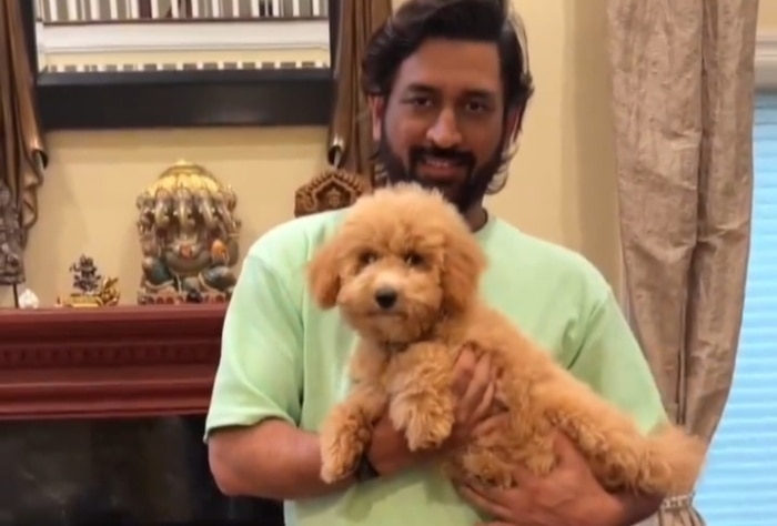 MS Dhonis cutest video with a puppy goes viral, watch here...