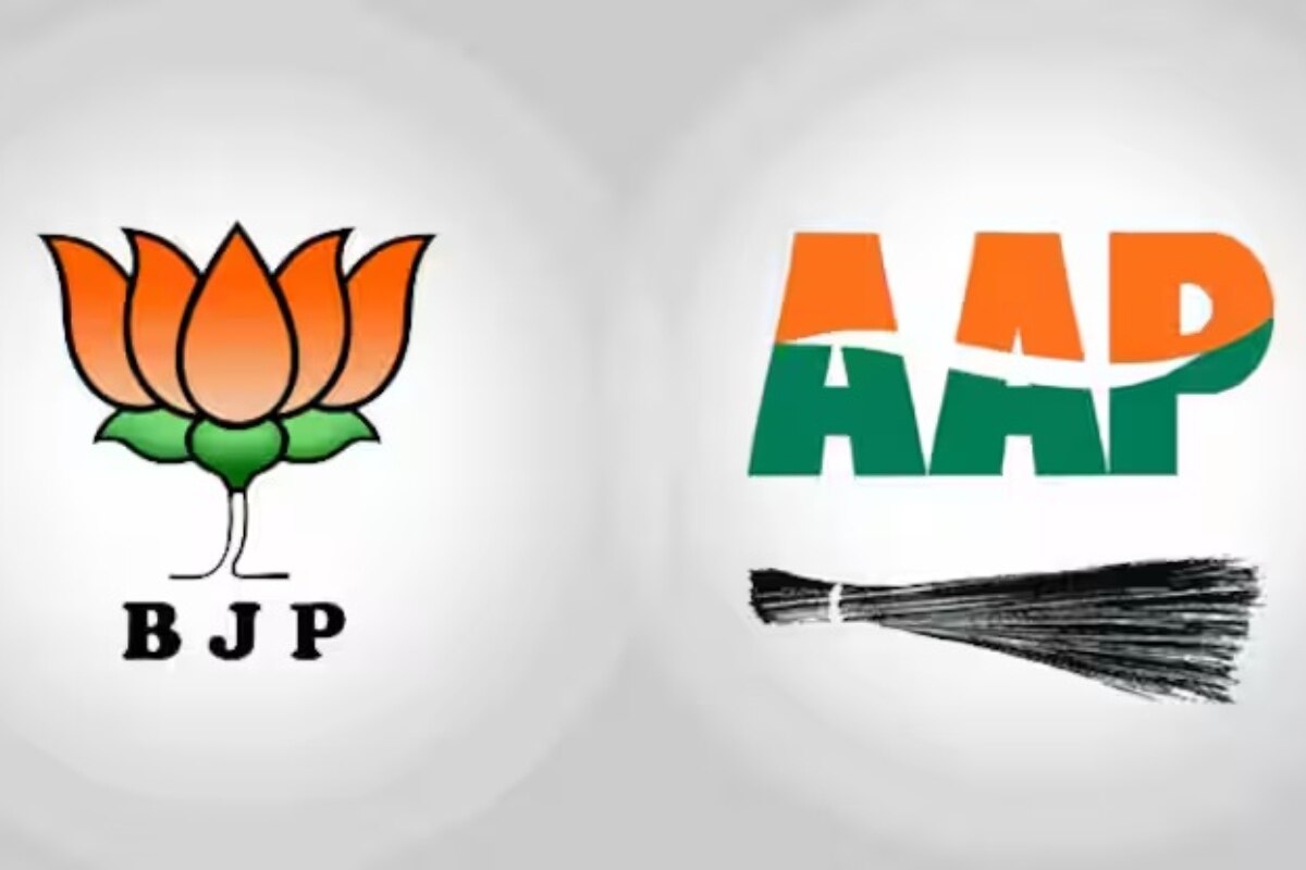 'AAP's Allegations Against BJP Defamatory': Delhi High Court