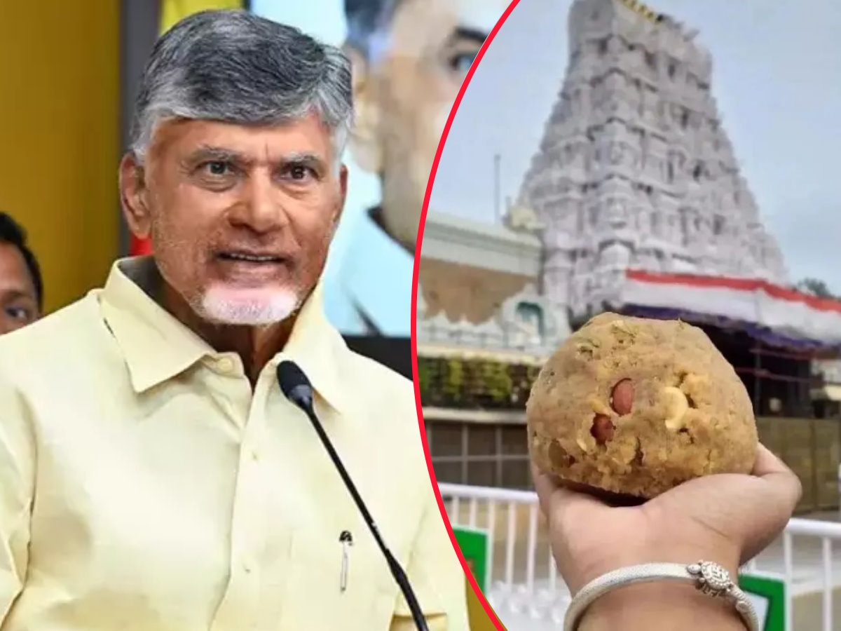 Tirupati Laddu row: Health Ministry seeks 'detailed report' over alleged presence of animal fat ...