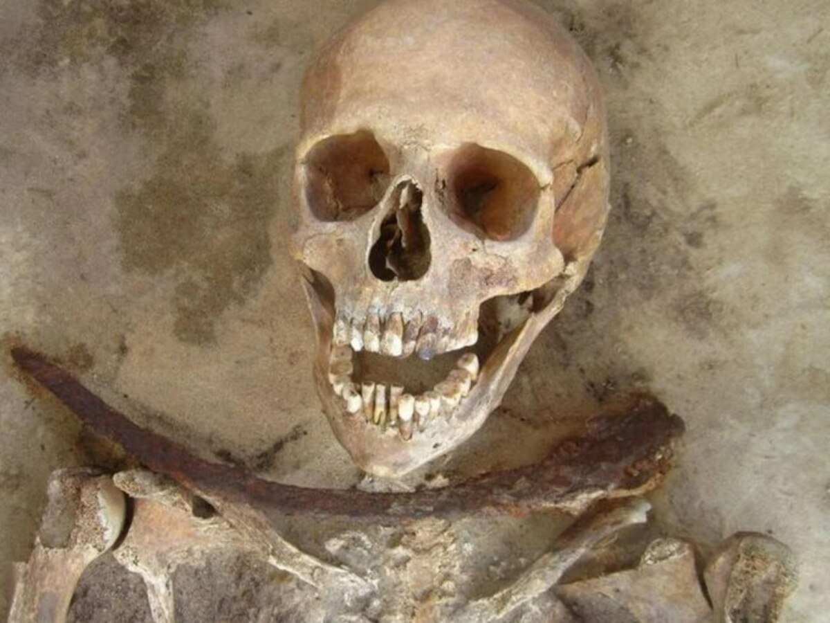 Vampire कब्र से कहीं न निकल आए...शव की गर्दन से बांधी थी दराती ...