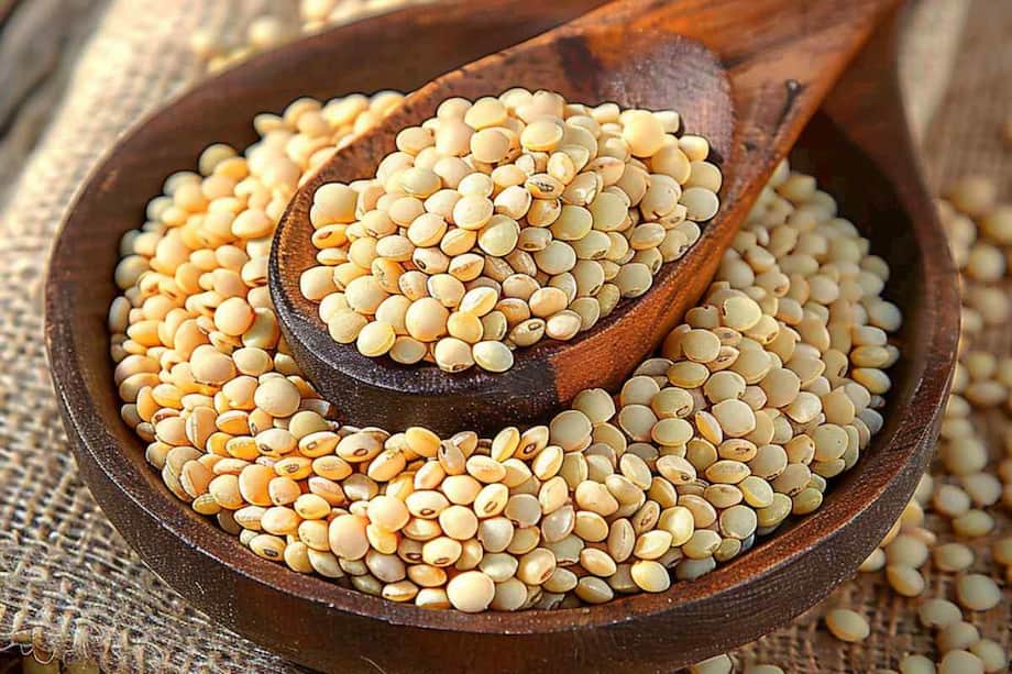Health Benefits Of Urad Dal : Latest News, Videos and Photos on health ...