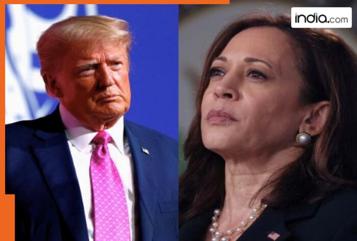 US Elections 2024: Can Trump Defeat Kamala Harris? Betting markets have ...