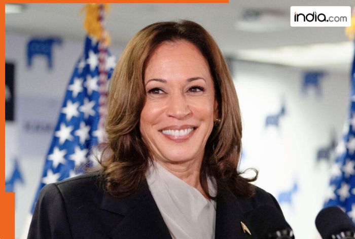 Kamala Harris to deliver closing argument speech at Ellipse outside ...