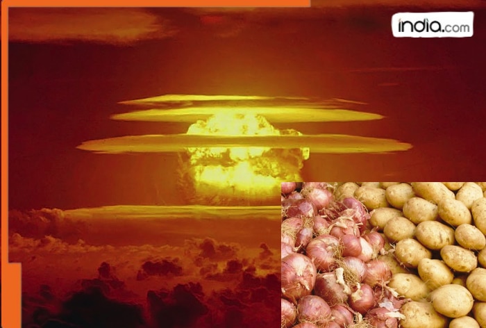 Why onions and potatoes are used in nuclear bomb testing? Scientists say...