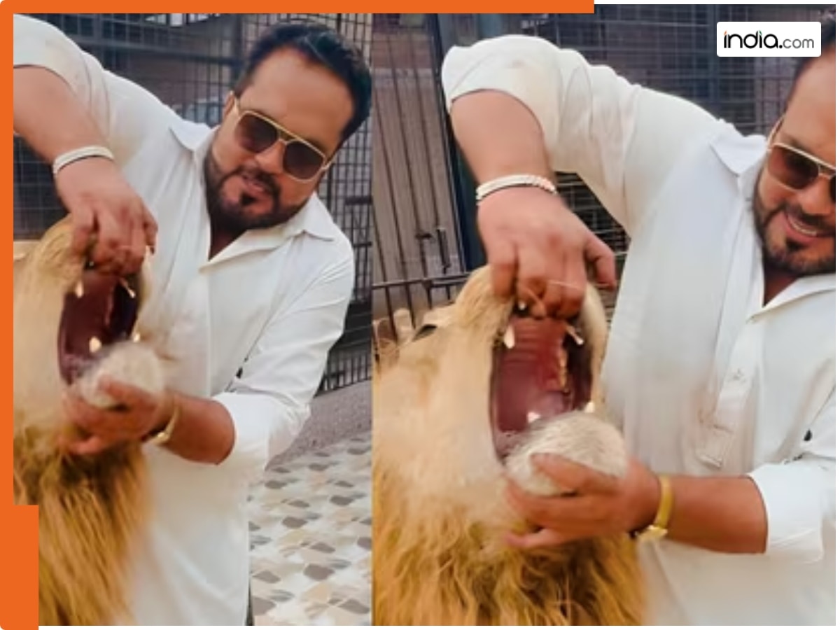 Sher Ka Video: पाकिस्तान के इस शख्स ने दिखाई गजब की बहादुरी, शेर के ...