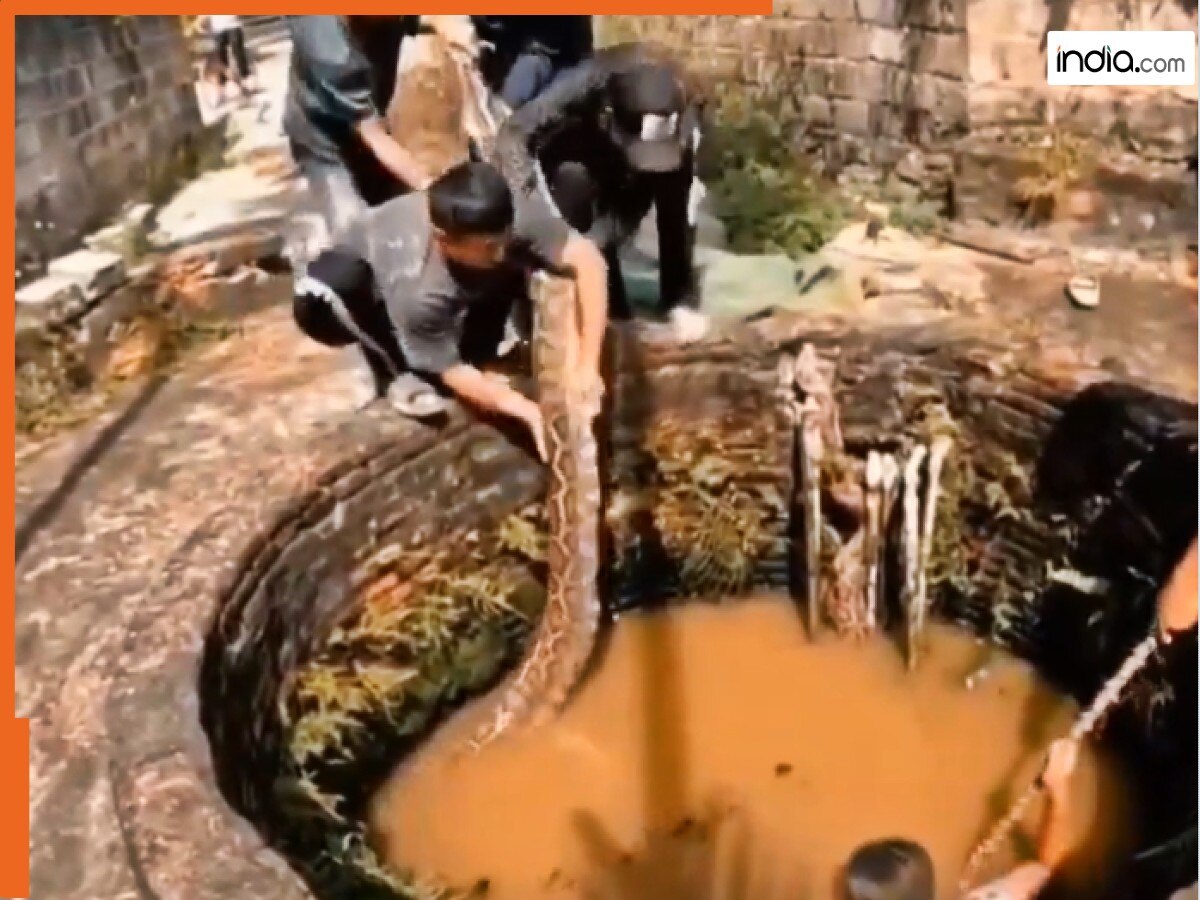Azgar Ka Video: अचानक कुएं में दिखे दो विशालकाय अजगर, निकालने के लिए ...