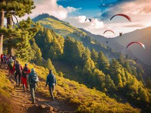 Chail Tourism | Chail Tourist Places | Chail Travel Guide | Chail ...