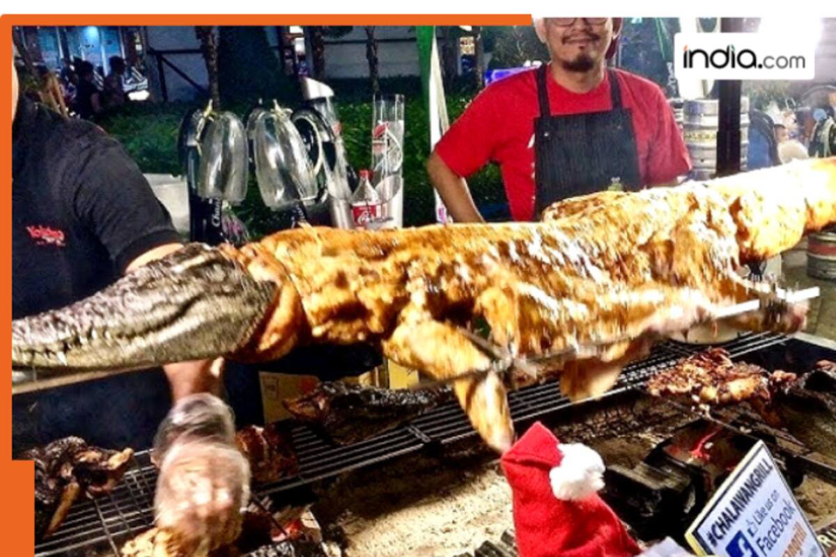 Cooked Crocodile Meat Cooked Crocodile Meat Stock Photos Free