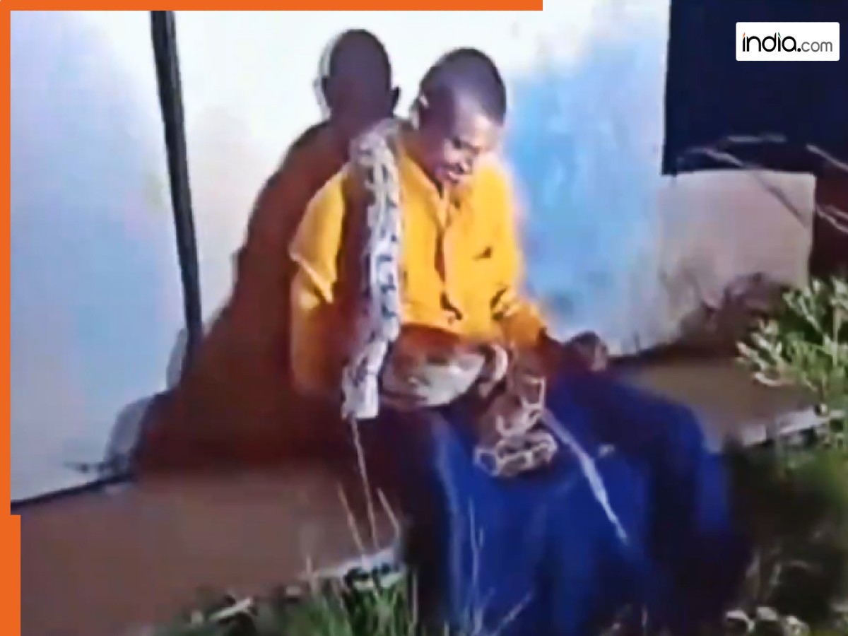 Azgar Ka Video: नशे में धुत शख्स पर चढ़ गया अजगर, फिर जो हुआ हिल ना जाओ ...