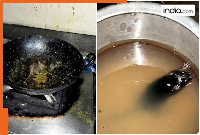 From utensils to raw food: Rat mayhem in IIT Roorkee canteen, institute ...