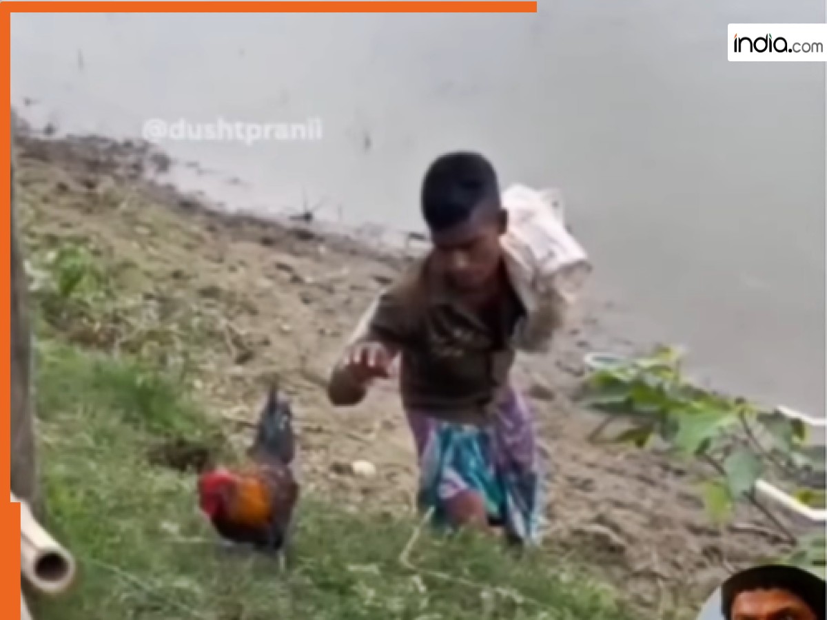 Murga Chor Ka Video: चालाकी से मुर्गा चुराने आया था चोर, मगर जो हुआ पेट ...