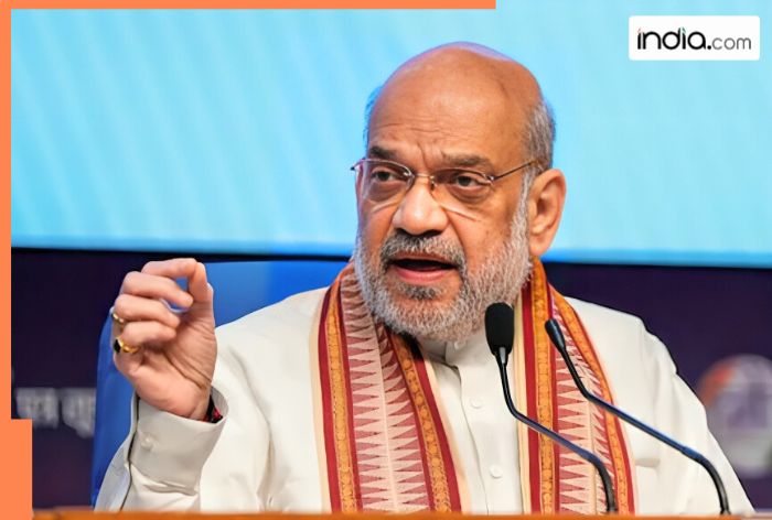 'BJP and its allies will win...' says Amit Shah ahead of upcoming ...