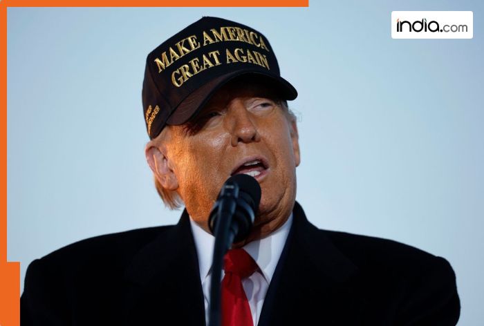 US election: Trump says this was his best campaign; indicates it may be ...