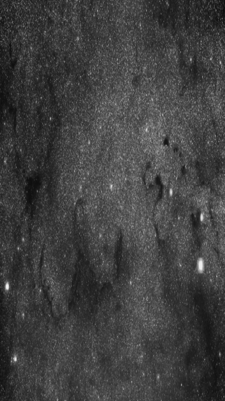 7 Animal-shaped nebulae captured by NASA's Hubble Telescope