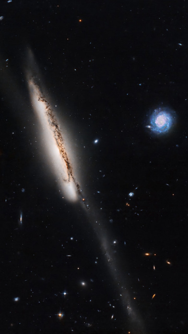 7 latest images of space objects captured by NASA James Webb Telescope