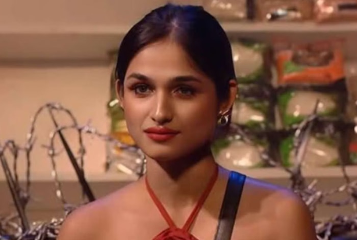 Bigg Boss 18: Vivian Dsena, Karan Veer Mehra, Rajat Dalal, Eisha Singh ...