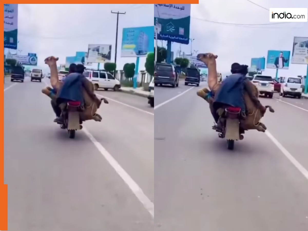 Oont Ka Video: ऊंट को बाइक पर बैठाकर फर्राटा भरने लगे लड़के, नजारा देख ...