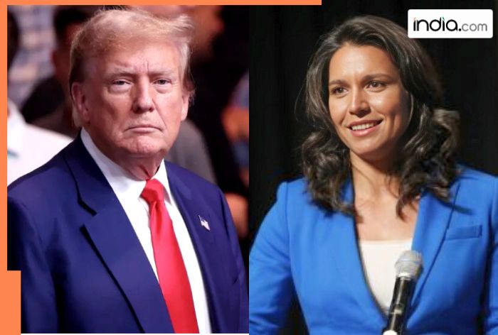 Tulsi Gabbard, Trump's top intelligence pick, faces fresh scrutiny amid ...