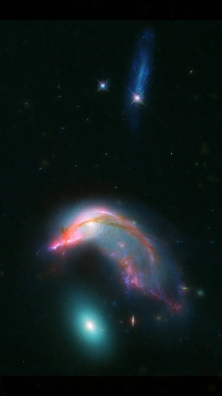 7 Nebulae that look like animals captured by NASA