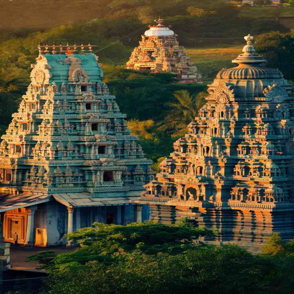 Tamil Nadu Tamil Nadu Govt Announces 6 New Projects, Initiatives On