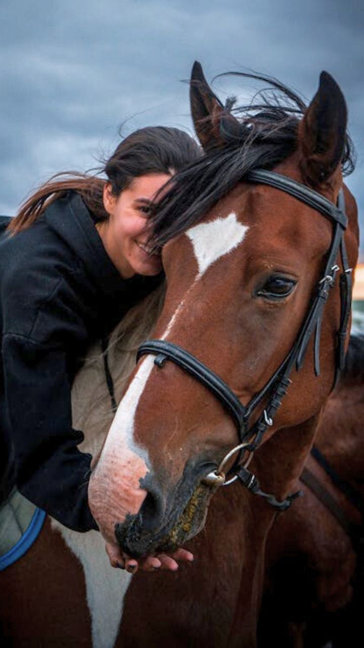 7 Animals that love and trust humans