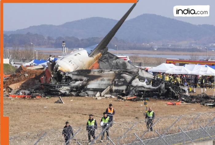 South Korea plane crash: 179 passengers dead, only 2 crew members survive says new report