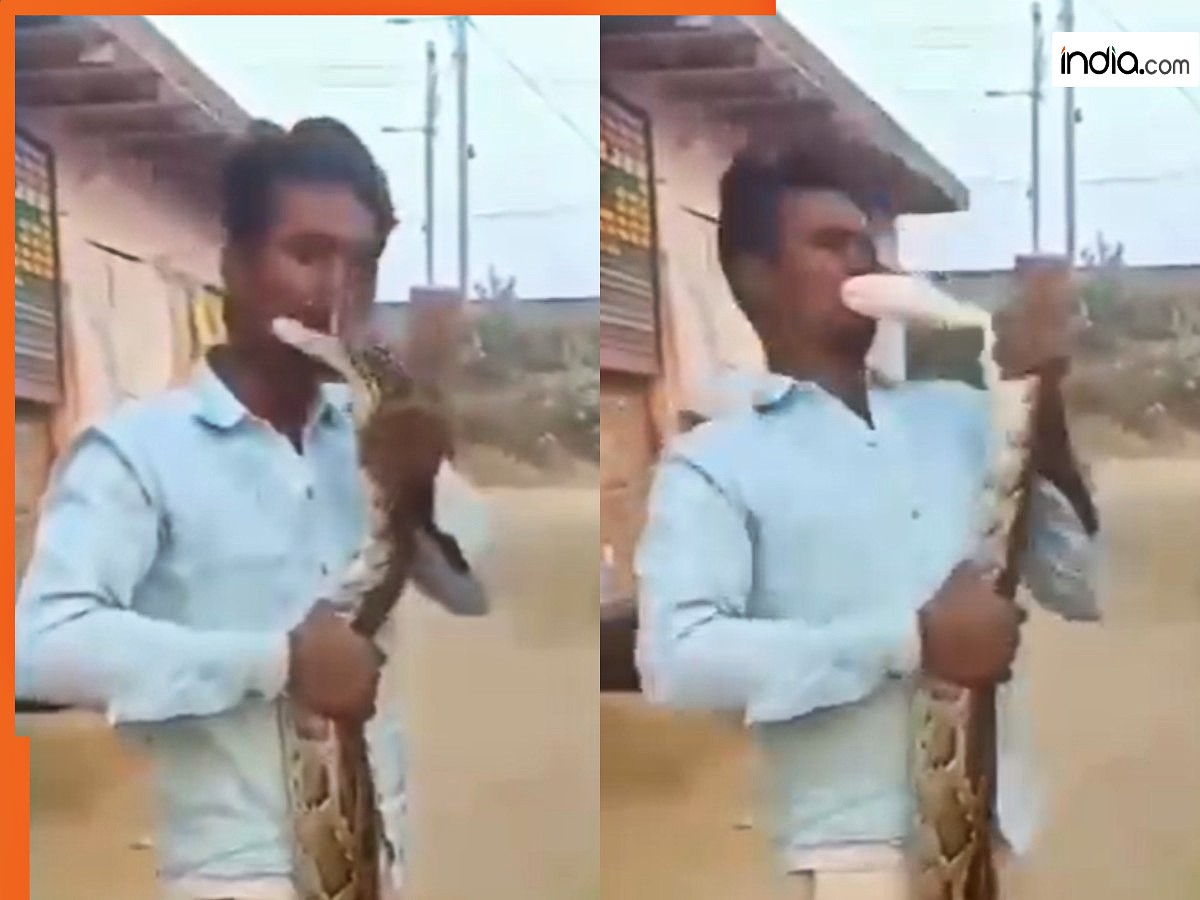 Azgar Ka Video: अजगर को चूमने की गलती कर बैठा लड़का, जो हुआ जिंदगी भर ...