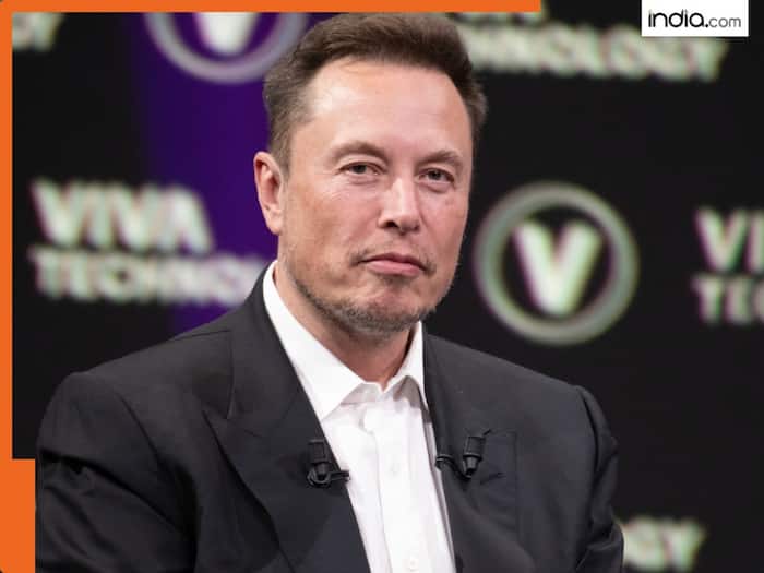 What is Starbase, why is Elon Musk building a new city, how will this ...